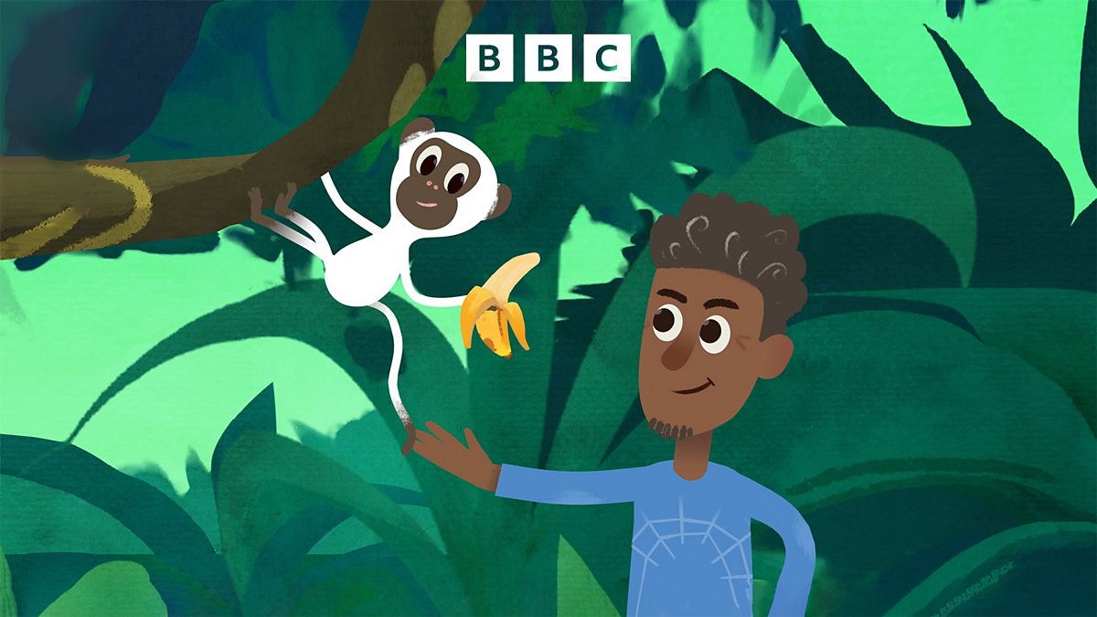 CBeebies Radio - Musical Storyland, Ananse and the Monkeys