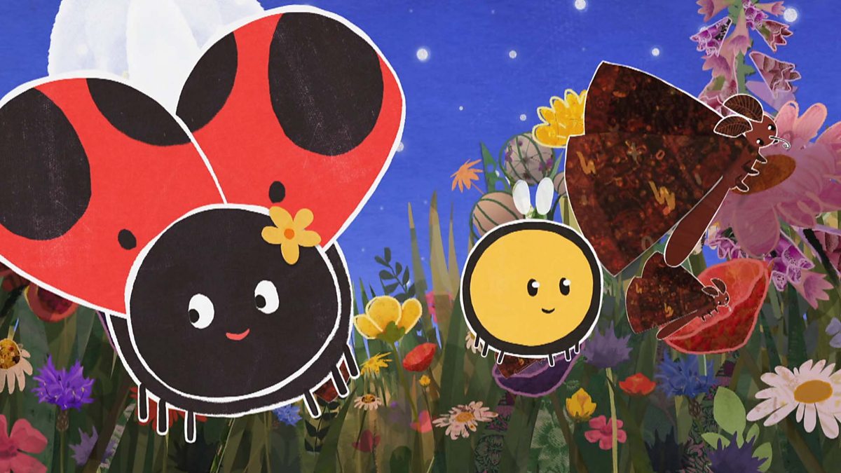 Ladybird & Bee/Daolag-bhreac is Seillean - Series 1: 3. Breug-riochd ...