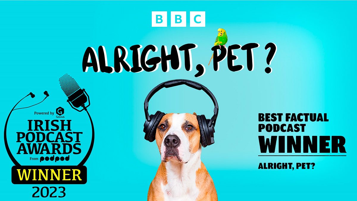 BBC Radio Ulster - Alright, Pet?, Series 4, Presenter Andy Goldstein ...