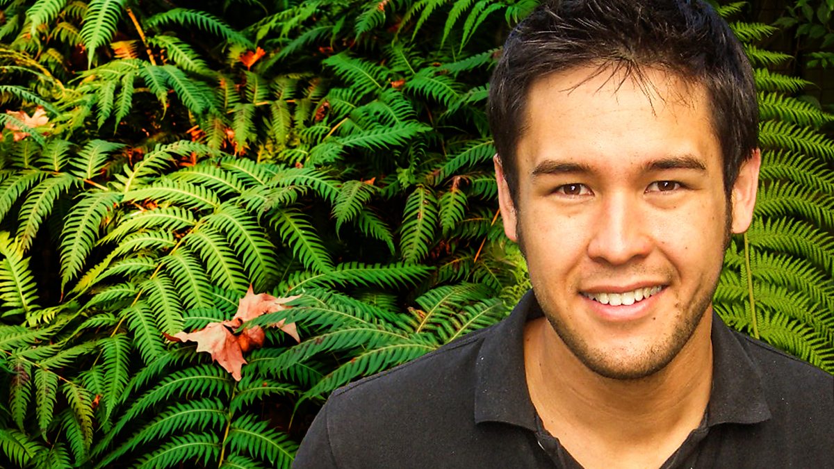 BBC Two - James Wong and the Malaysian Garden