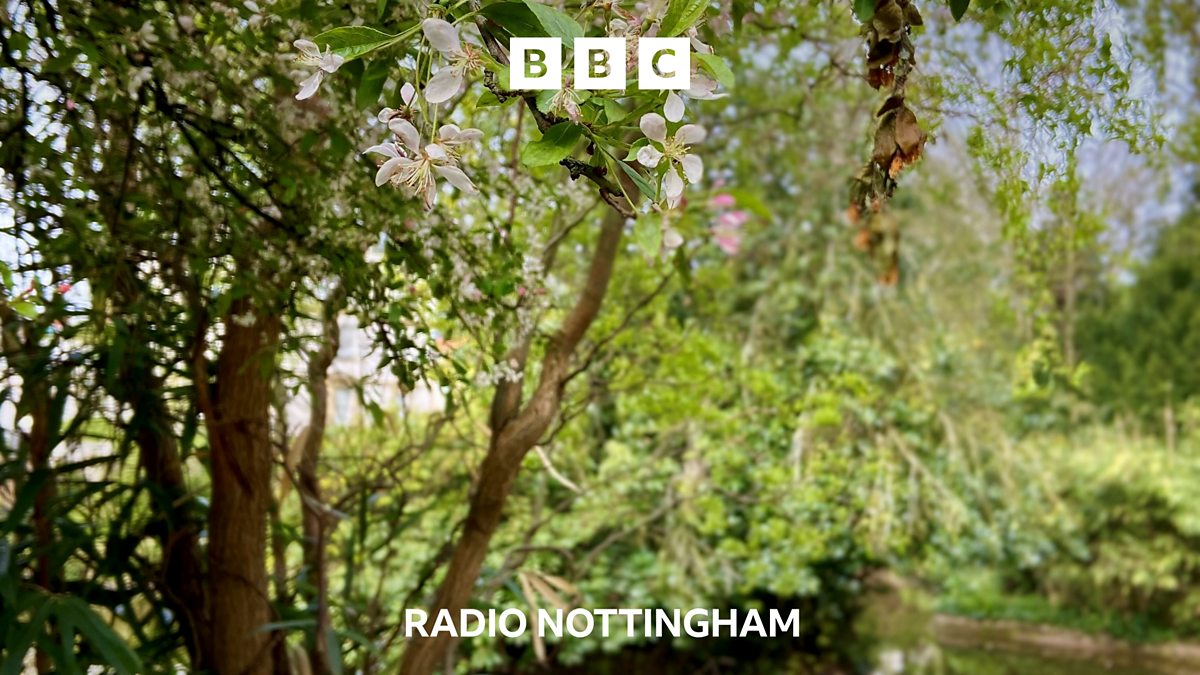 BBC Radio Nottingham - BBC Radio Nottingham, Is the Arboretum the most ...