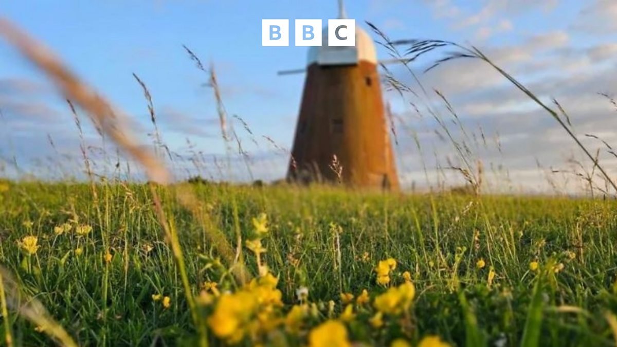 BBC Radio Sussex - Allison Ferns on BBC Radio Sussex, The Week in Words ...