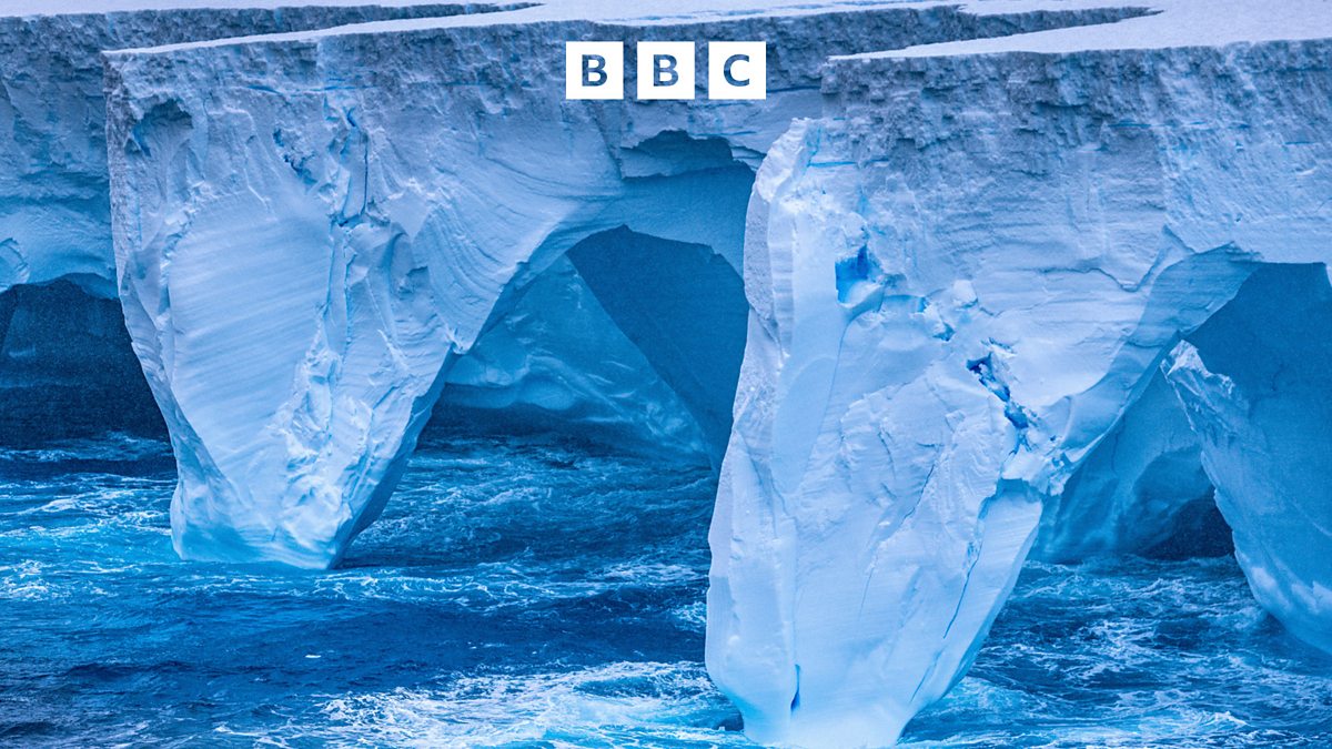 BBC World Service - The Inquiry, What can the world’s biggest iceberg ...