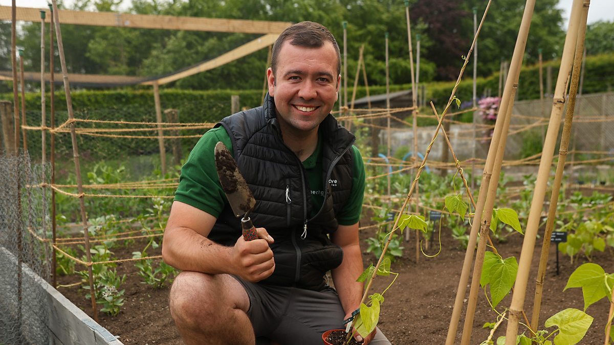 Beechgrove Garden - 2024: Episode 10 - BBC iPlayer