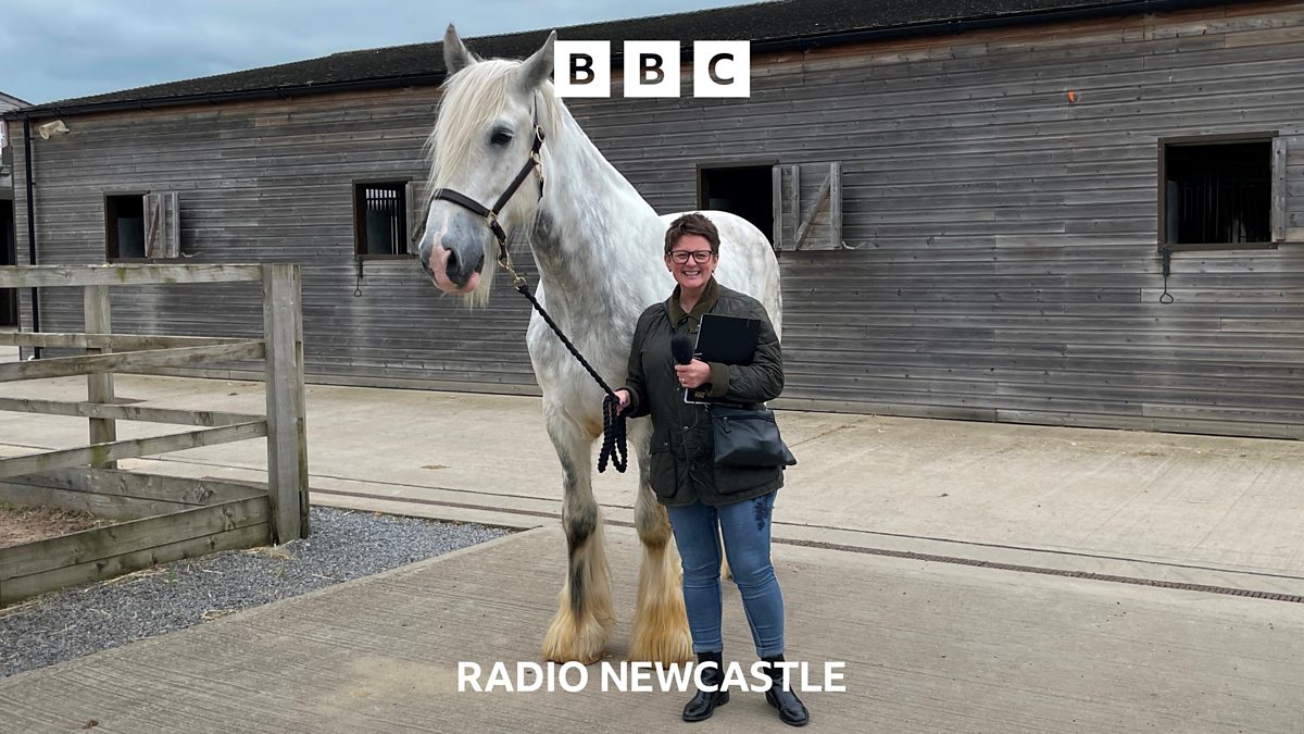 BBC Radio Newcastle - Gilly Hope on BBC Radio Newcastle, 01/06/2024 ...