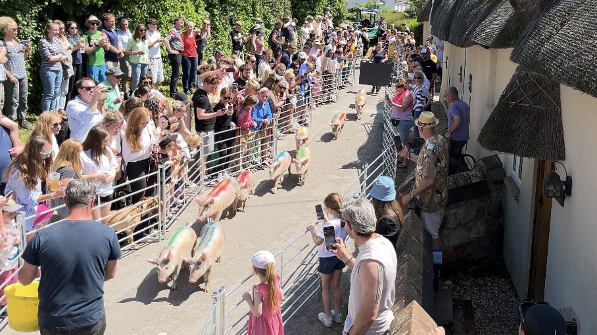 BBC Radio Wiltshire - Ben Prater, 03/06/2024, 'Lester Piglet' and ...