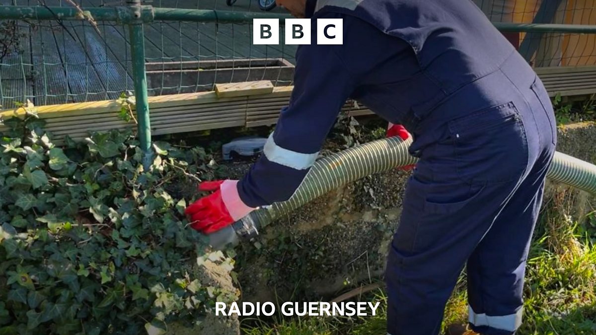 BBC Radio Guernsey - BBC Radio Guernsey, Are you happy with your ...