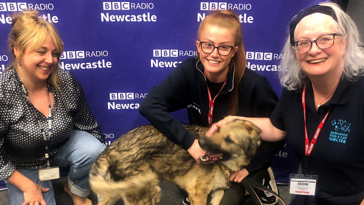 BBC Radio Newcastle - Anna Foster, 03/06/2024, Volunteering at ...