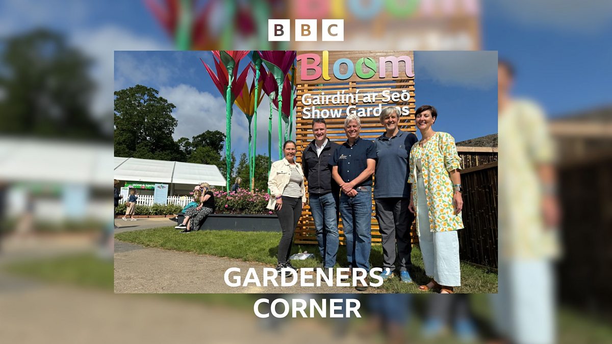 BBC Radio Ulster - Gardeners' Corner, Gardeners’ Corner live from Bord ...