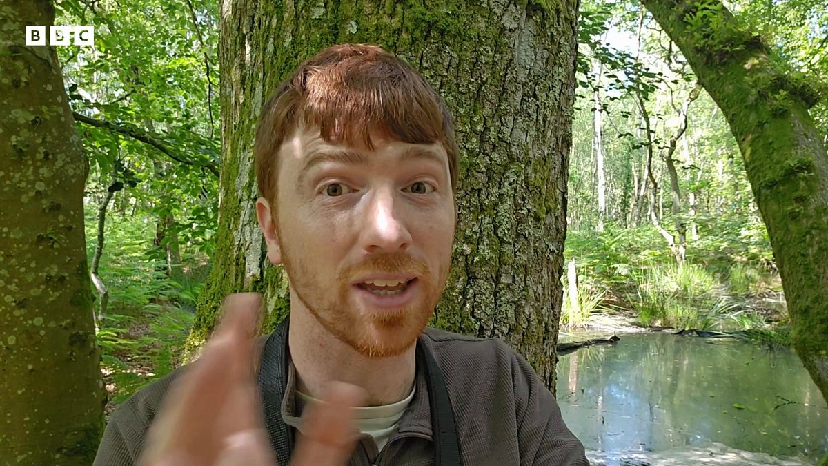 BBC Two - Springwatch, Springwatch goes nest finding