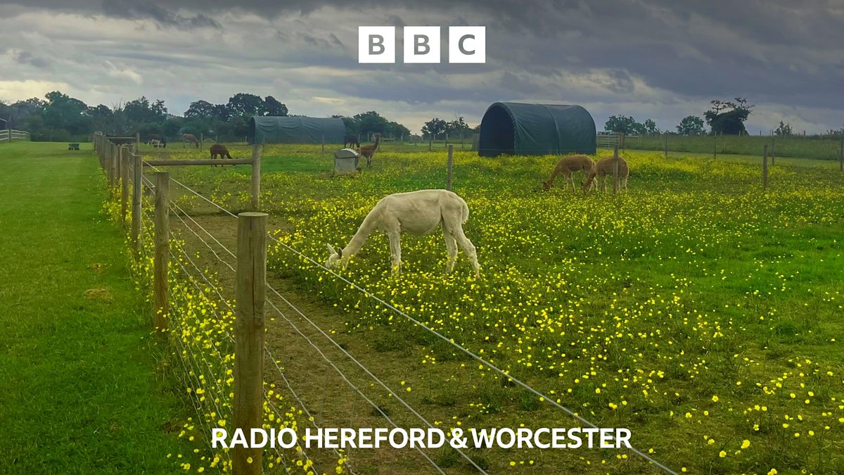 BBC Hereford & Worcester - BBC Hereford & Worcester, 'Much-loved ...
