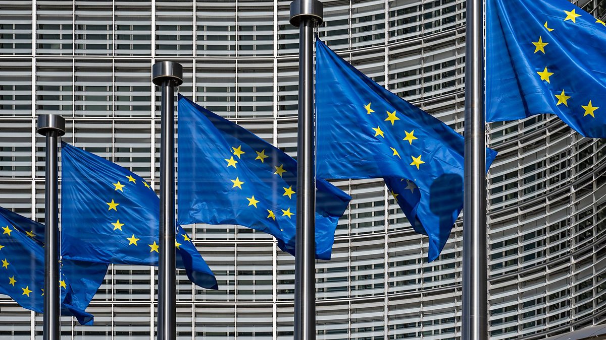 BBC News - European Elections