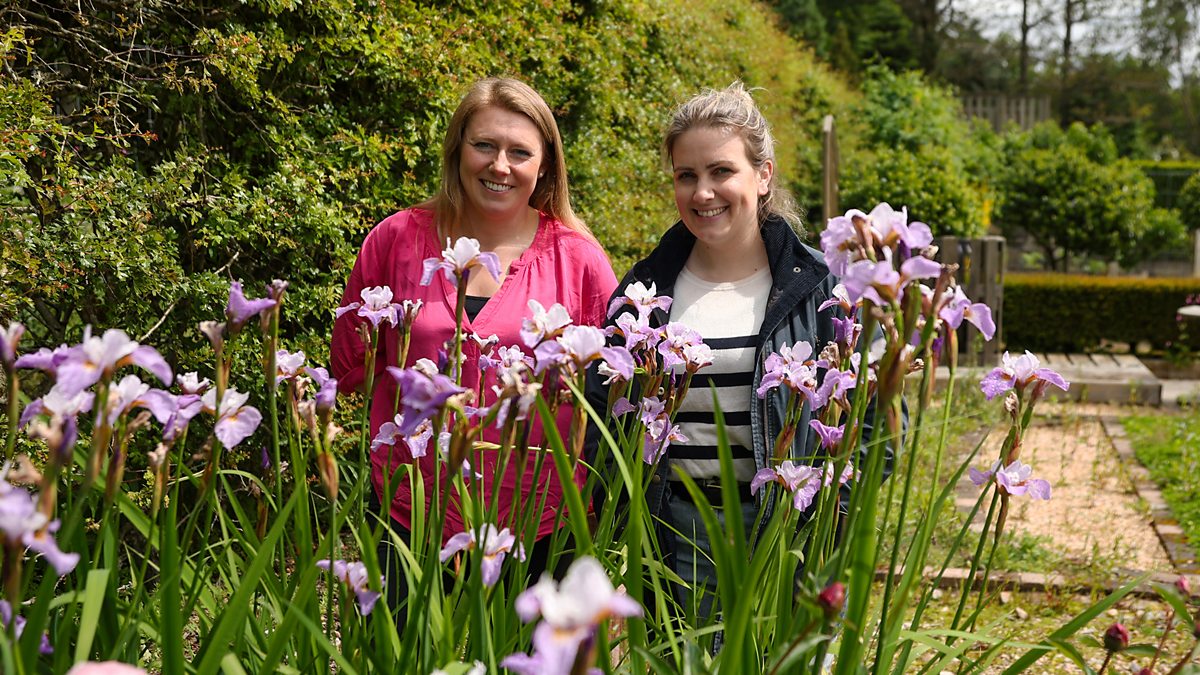 Beechgrove Garden - 2024: Episode 11 - BBC iPlayer