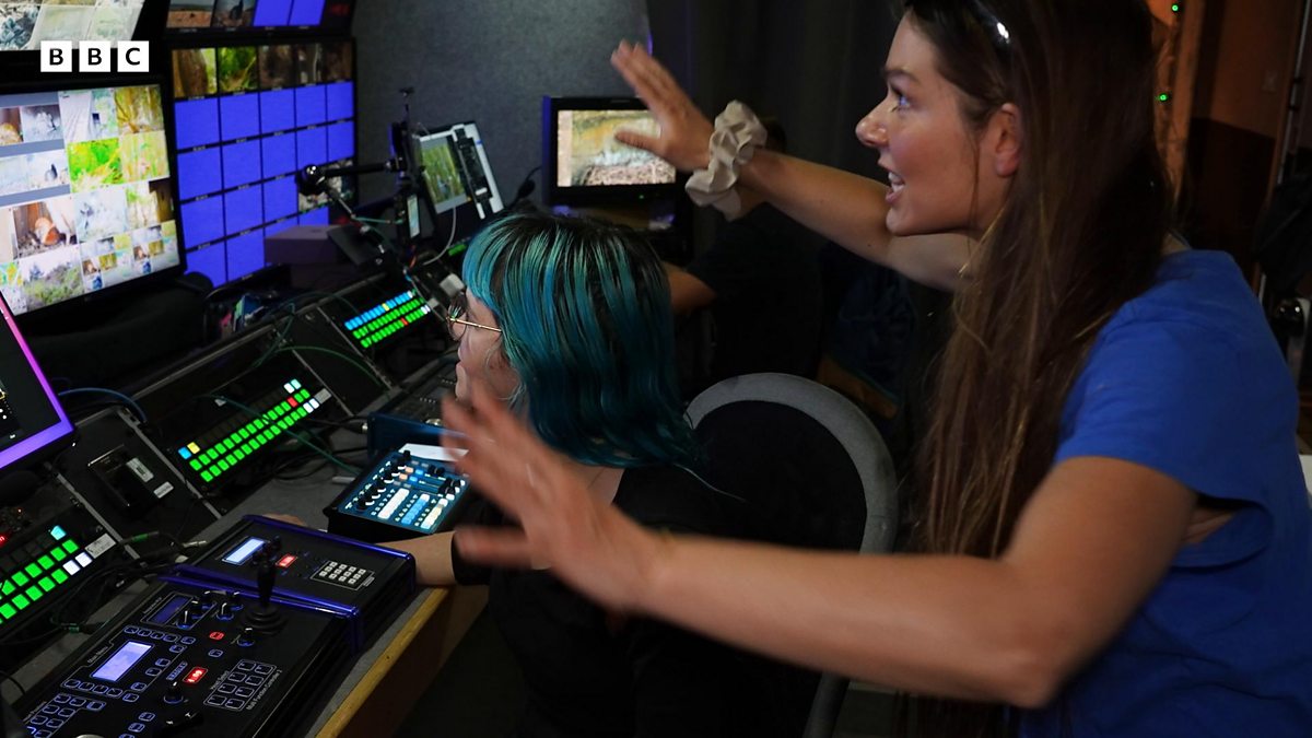 BBC Two - Springwatch, Hannah Stitfall goes behind the scenes on ...