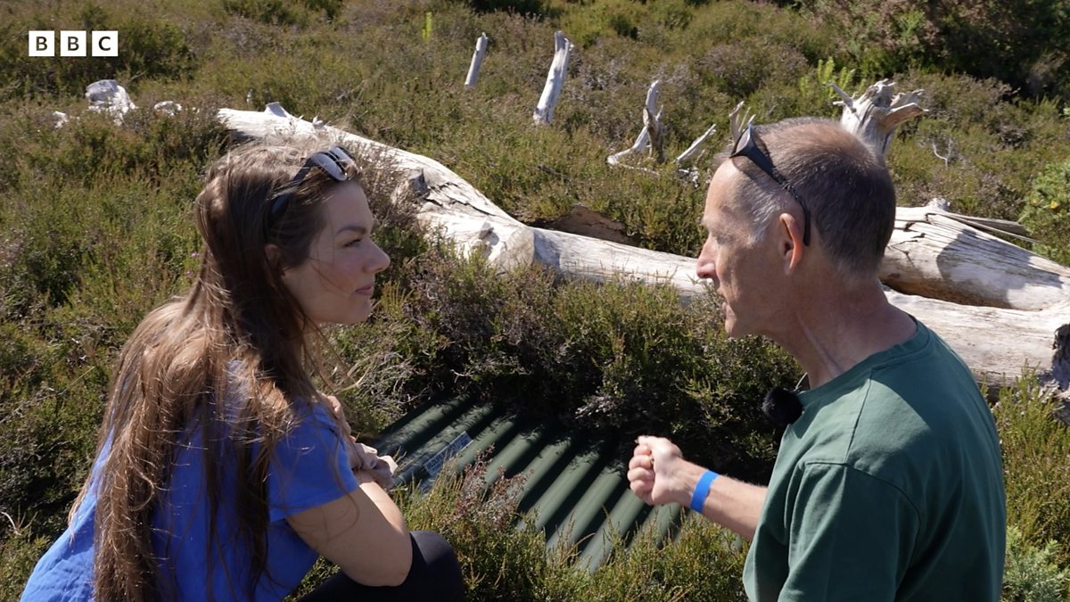 BBC Two - Springwatch, Hannah Stitfall discovers RSPB Arne's reptiles