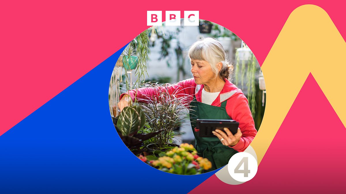 BBC Radio 4 - Money Box, Money Box Live: Older Workers