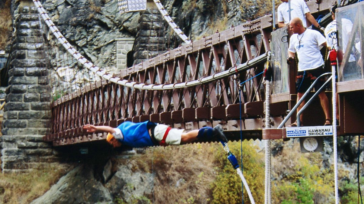 Bungee Jumping Off A Bridge