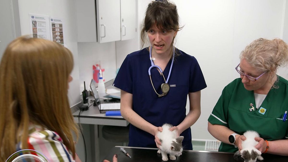 BBC One - Songs of Praise, 200 Years of the RSPCA, Caring for God's ...