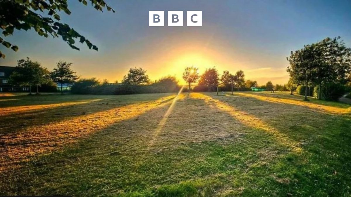 BBC Radio Sussex - Allison Ferns on BBC Radio Sussex, The Week in Words ...