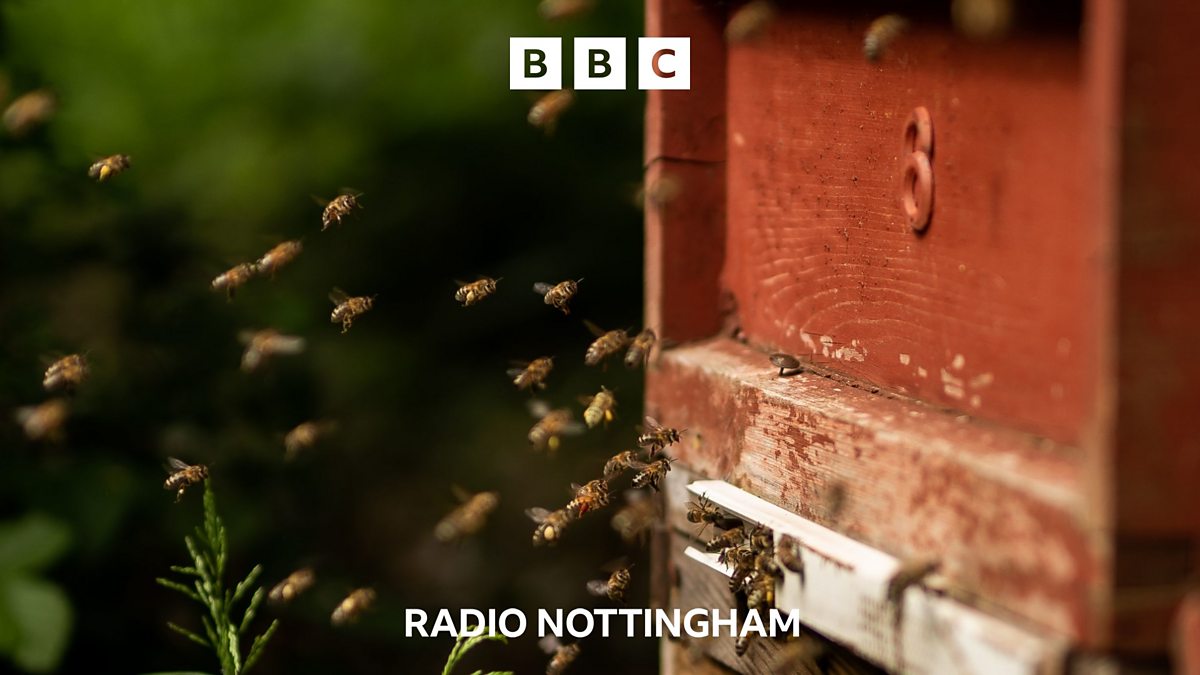 BBC Radio Nottingham - BBC Radio Nottingham, Bee are Notts