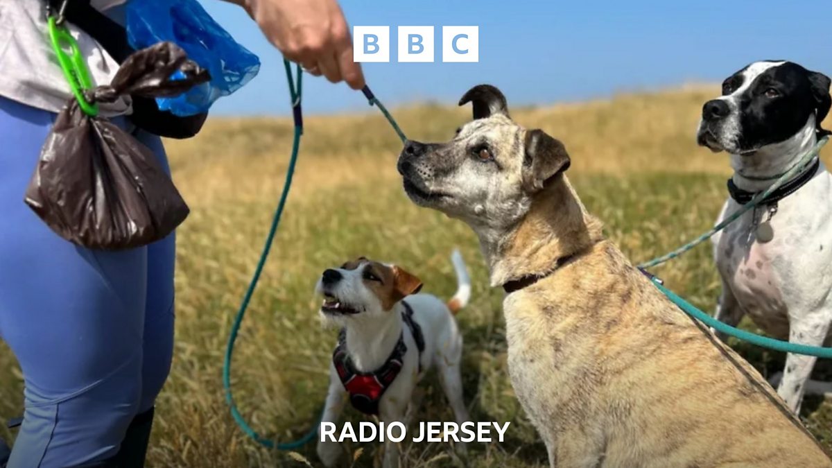 BBC Radio Jersey - BBC Radio Jersey, Does Jersey have a DOG POO problem?