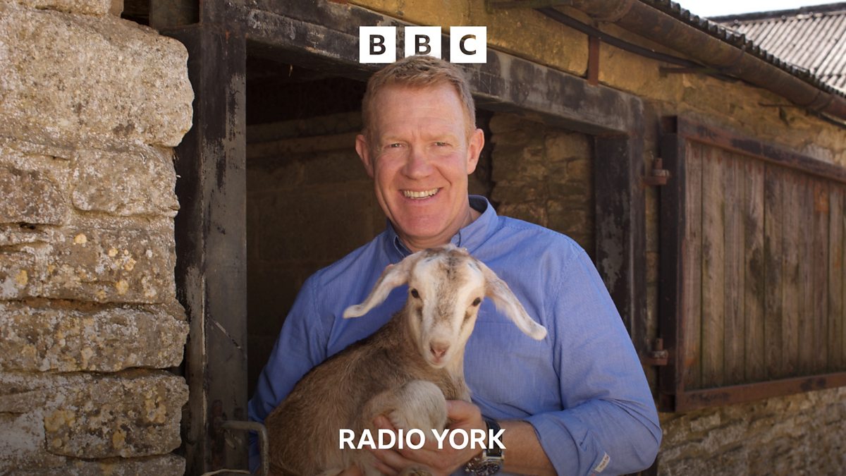 BBC Radio York - BBC Radio York, Countryfile star on "wonderful" Great ...