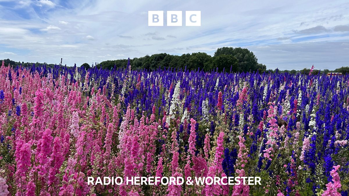 BBC Hereford & Worcester - BBC Hereford & Worcester, Wick's confetti ...