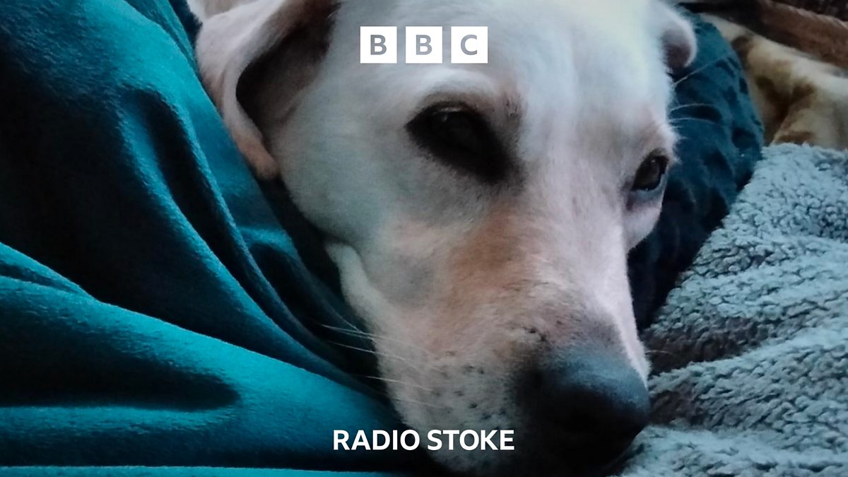 BBC Radio Stoke - BBC Radio Stoke, A warning to dog walkers