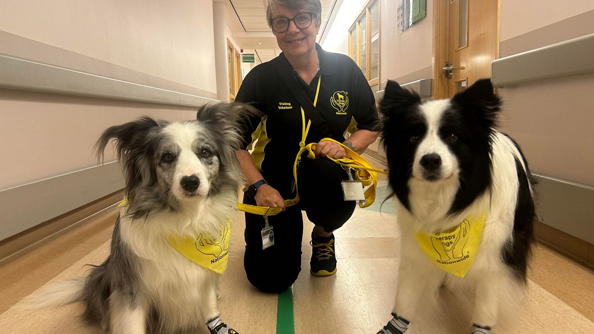 BBC Hereford & Worcester - Tammy Gooding, Meet Aero and Casper: The ...