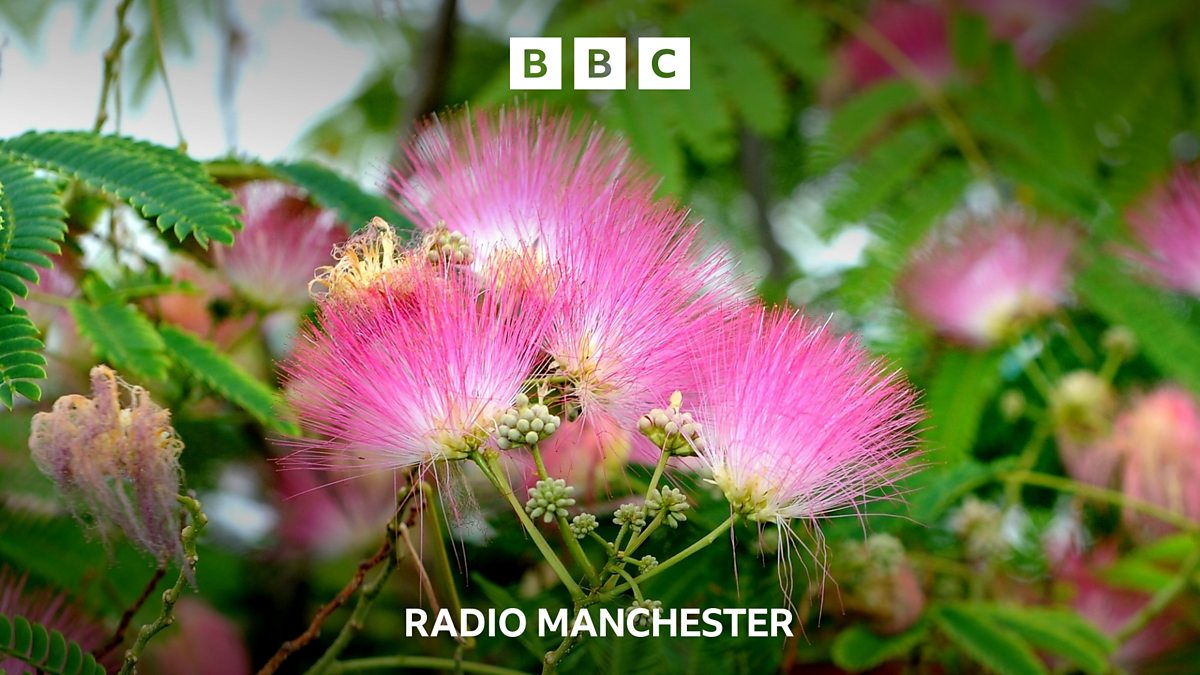 BBC Radio Manchester - BBC Radio Manchester, Tatton Park Flower Show ...