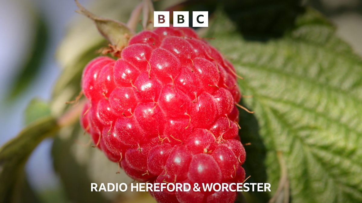 BBC Hereford & Worcester - BBC Hereford & Worcester, 'Send us your ...