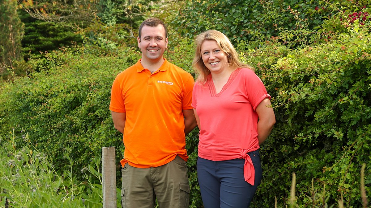 Beechgrove Garden - 2024: Episode 16 - BBC iPlayer