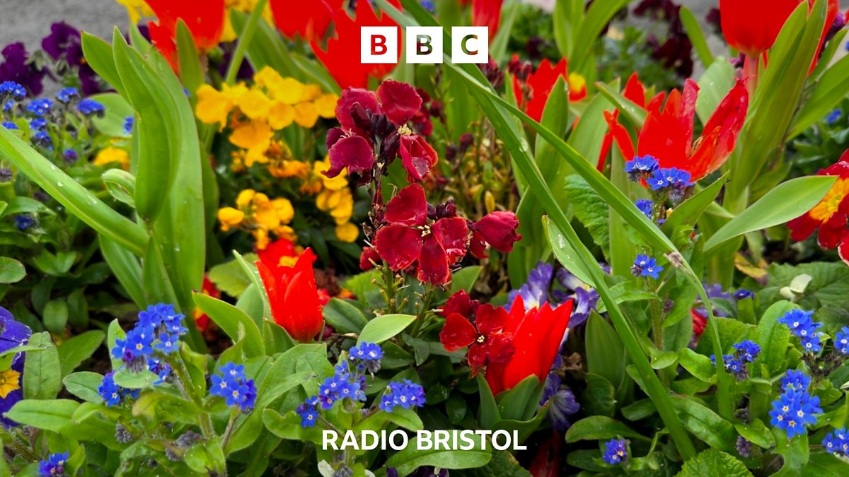 BBC Radio Bristol - BBC Radio Bristol, Is Portishead Britain's most ...