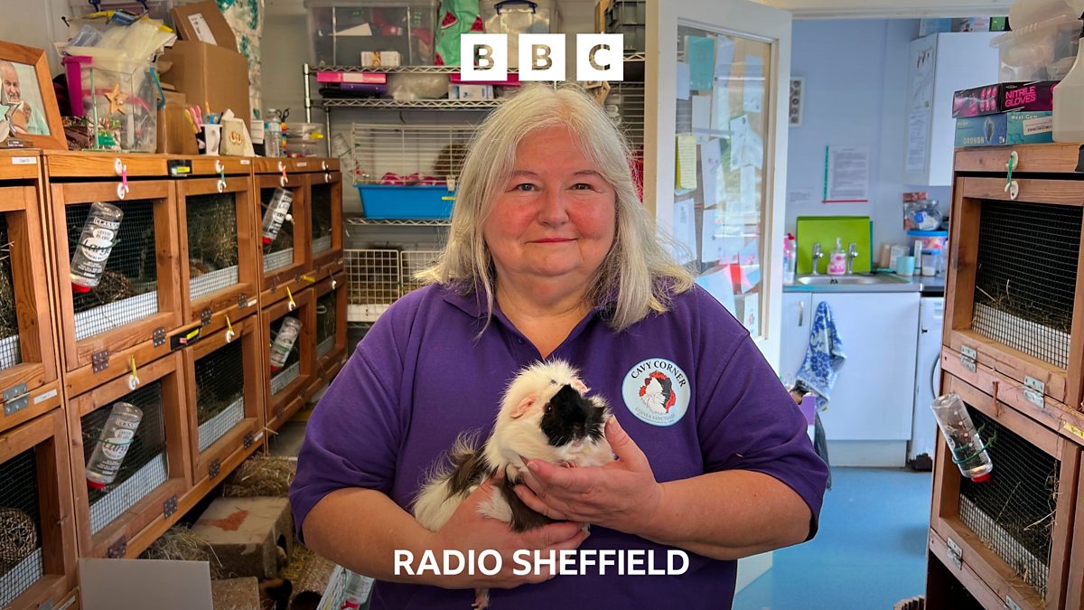 BBC Radio Sheffield - Make a Difference: Sheffield, Sue Tate: Animal ...