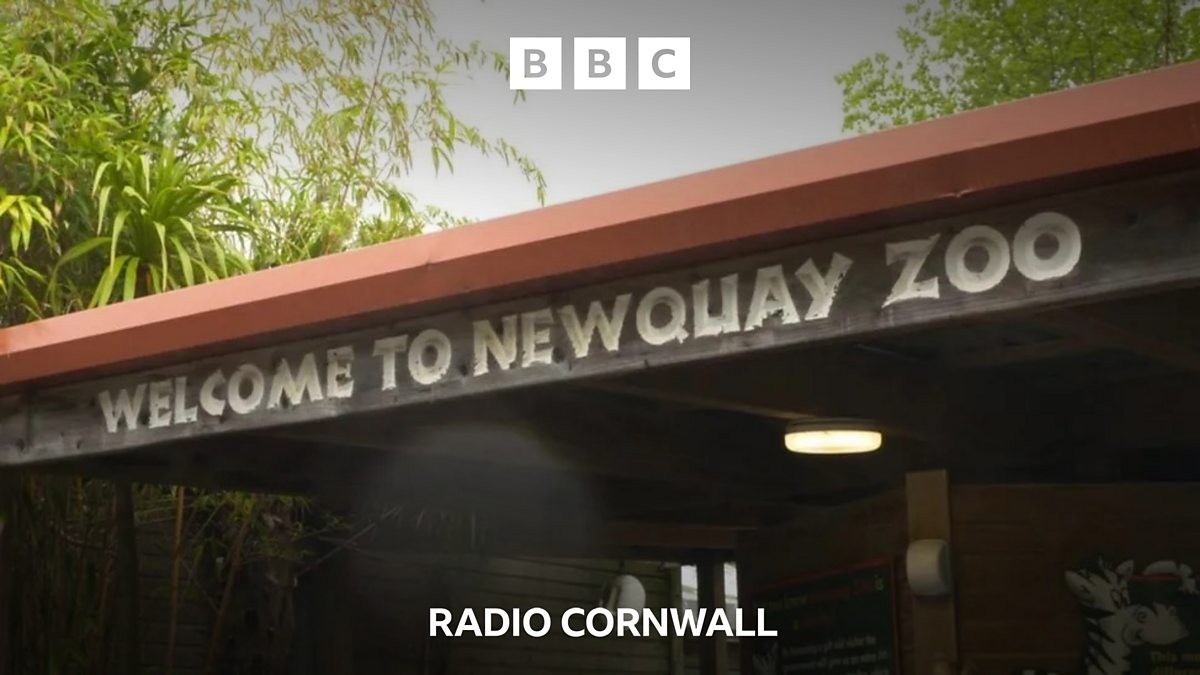 BBC Radio Cornwall - BBC Radio Cornwall, 'In trouble': Battle to save ...