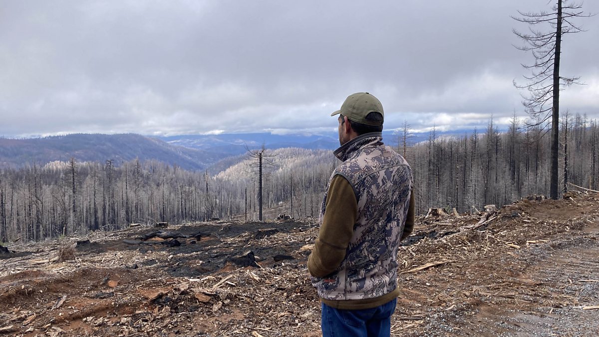 BBC Radio 4 - Rare Earth, World on Fire, Fighting Fire in California ...