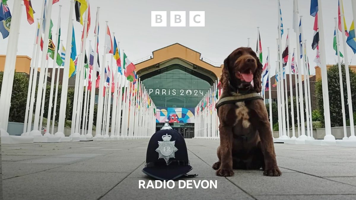 BBC Radio Devon - BBC Radio Devon, What is a dog from Devon doing at ...
