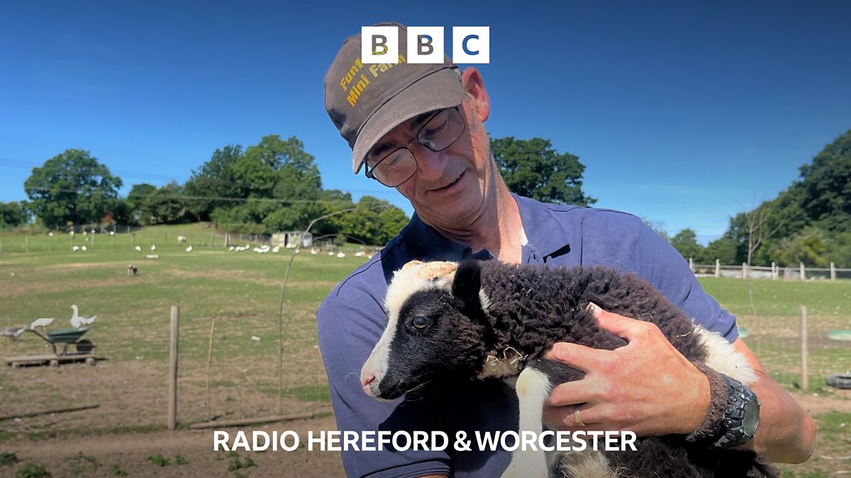 BBC Hereford & Worcester - BBC Hereford & Worcester, Callow End rescue ...