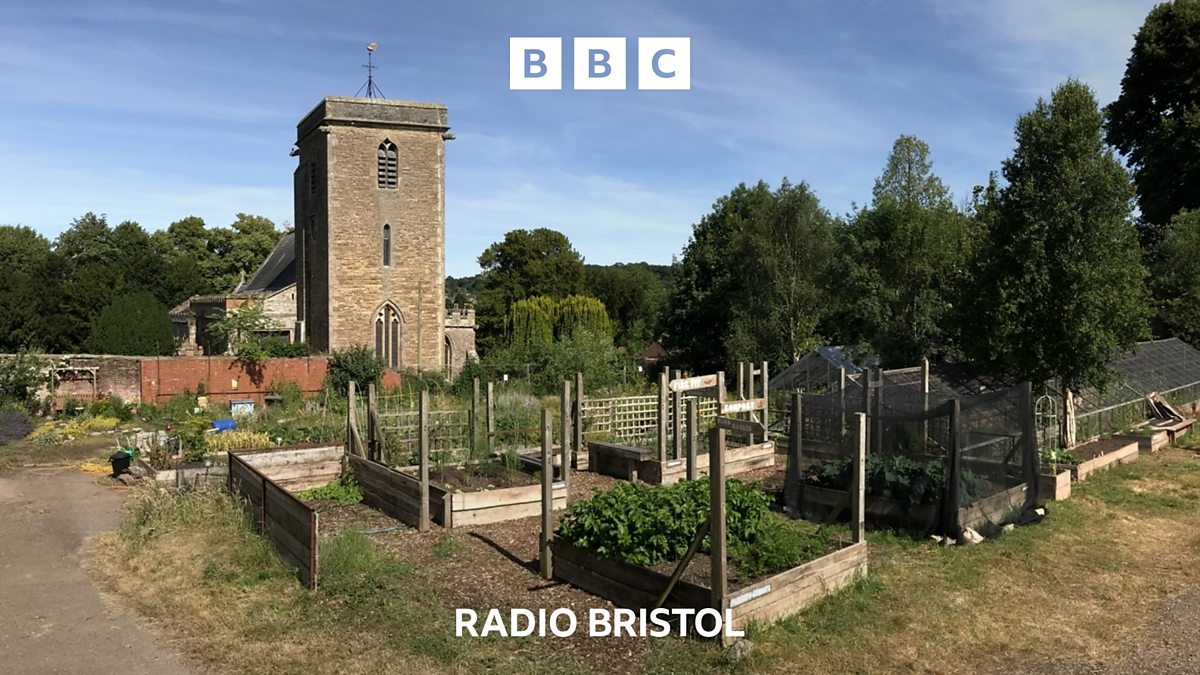 BBC Radio Bristol - All About Bristol, Bristol's secret garden hidden ...