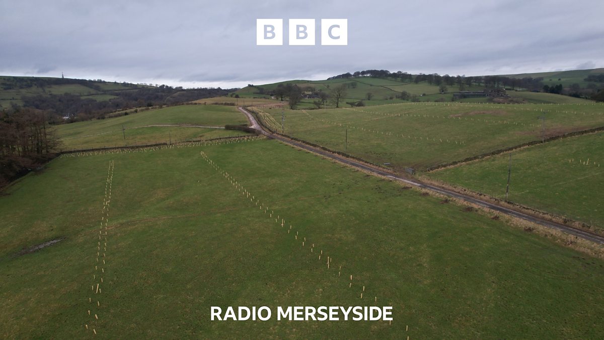 BBC Radio Merseyside - BBC Radio Merseyside, 30 years of Mersey Forest