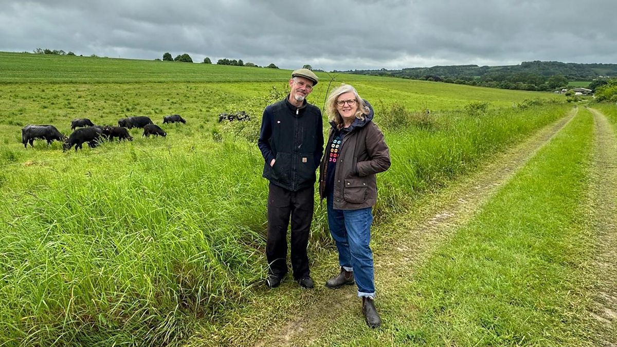 BBC Radio 4 - On Your Farm, Water Buffalo