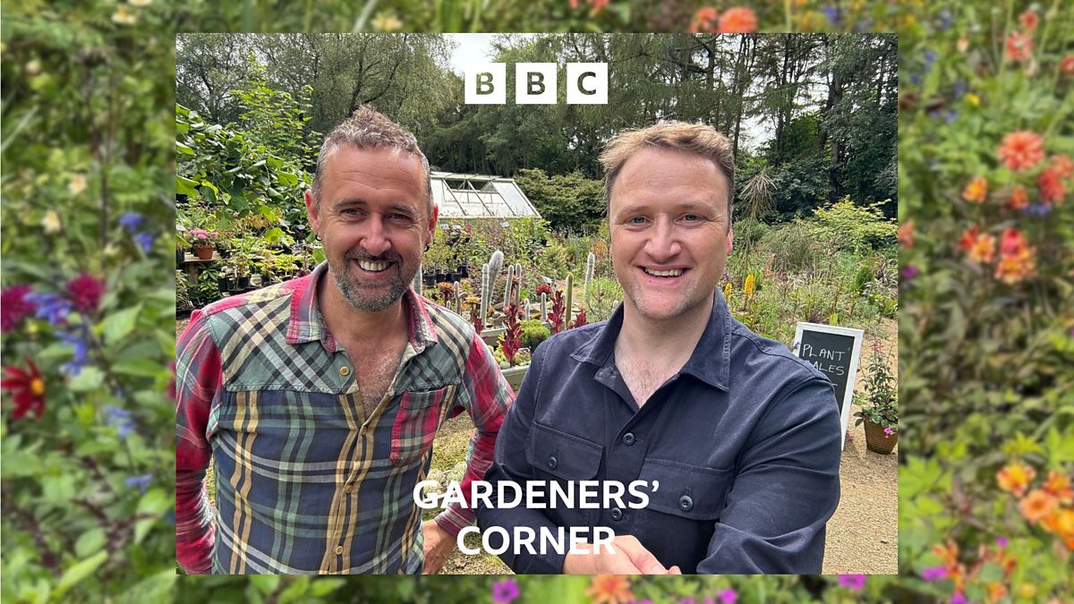 BBC Radio Ulster - Gardeners' Corner, How to have the perfect lawn ...