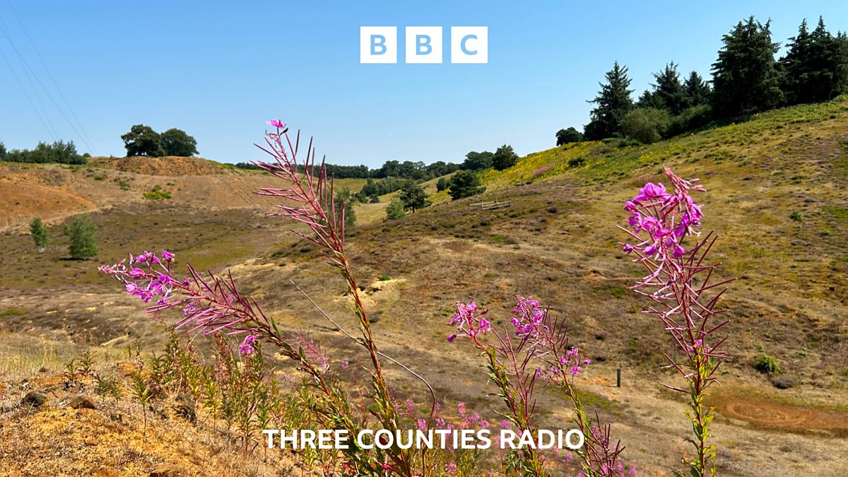 BBC Three Counties Radio - BBC Three Counties Radio, Conservationists ...