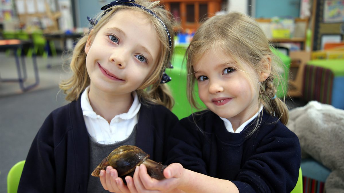 Time for School - Series 4: 2. School Rules - Signed - BBC iPlayer