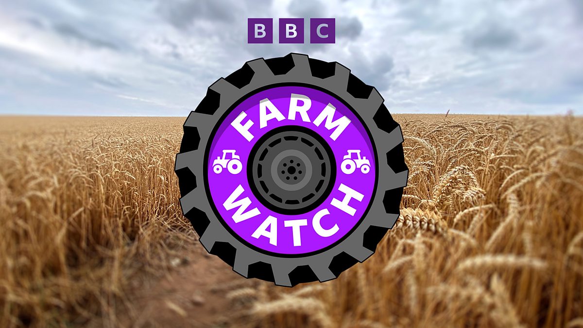 BBC Local Radio - Farmwatch