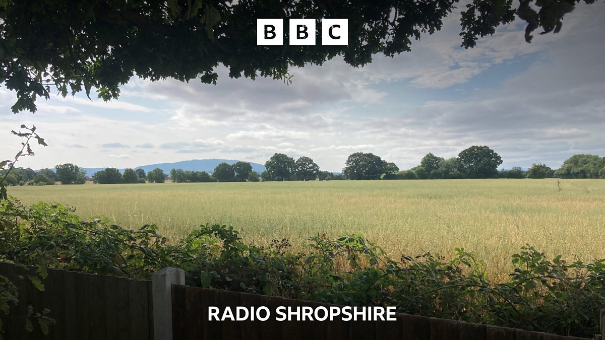 BBC Radio Shropshire - BBC Radio Shropshire, "It would probably treble ...