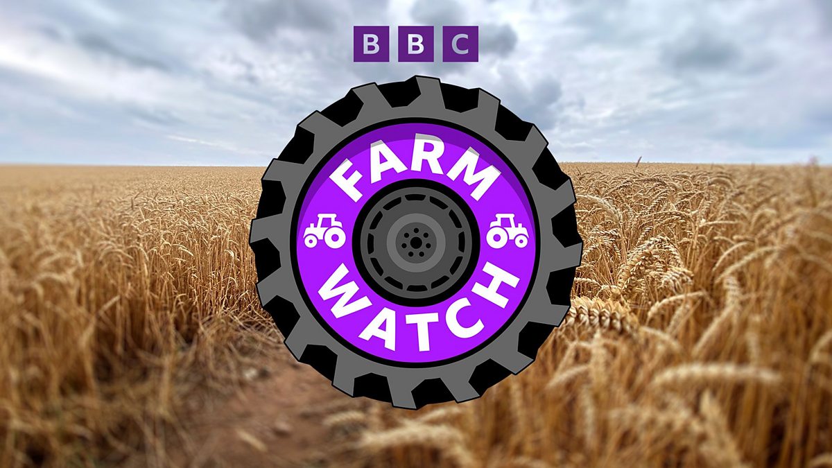 BBC News - Farmwatch