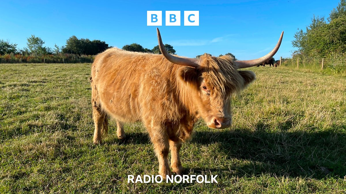 BBC Local Radio - Farmwatch, Norfolk farmers: ‘We do this because we ...