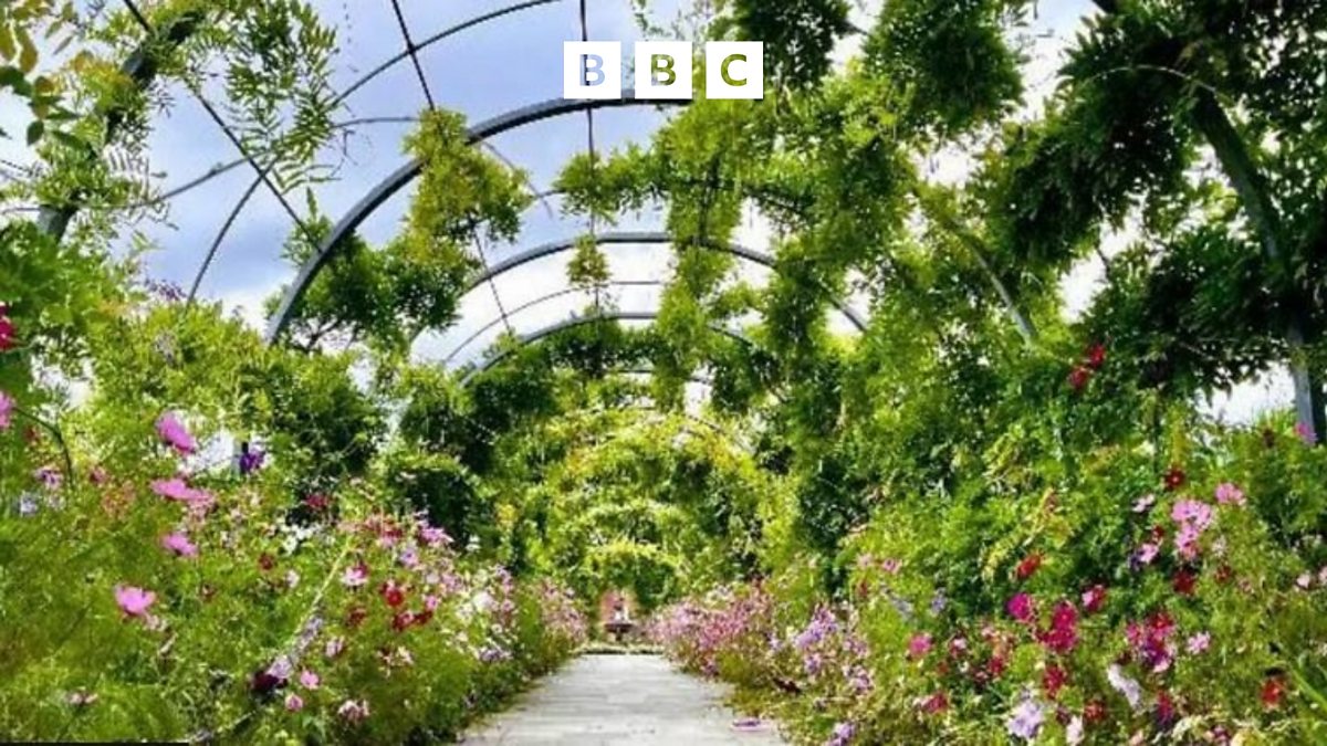 BBC Radio Sussex - Allison Ferns on BBC Radio Sussex, The Week in Words ...