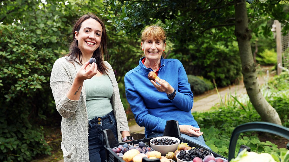 Beechgrove Garden - 2024: Episode 21 - BBC iPlayer